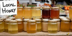 How to Sell Honey {Tips for Success} - Carolina Honeybees