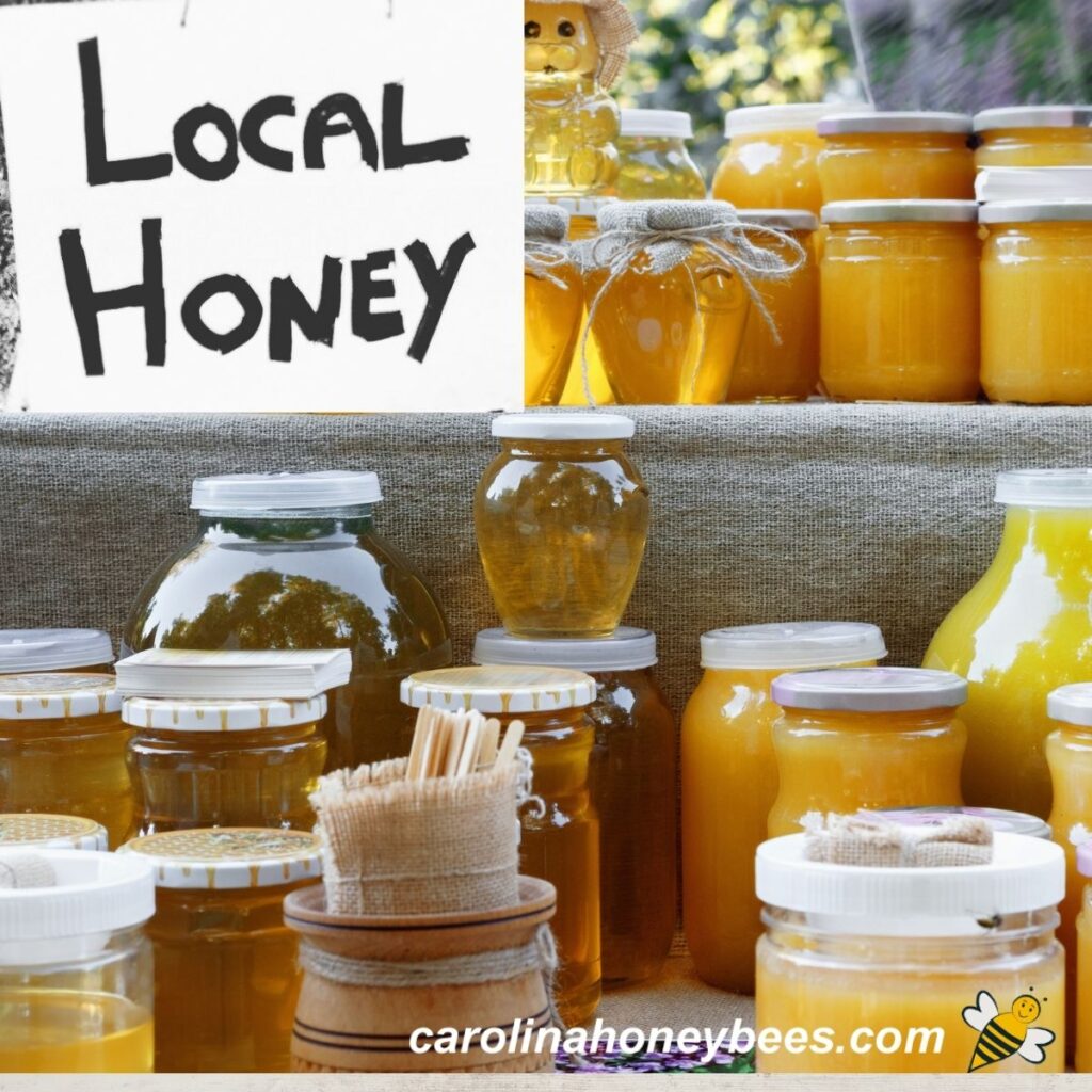The Color of Honey - {How it Affects Flavor} - Carolina Honeybees
