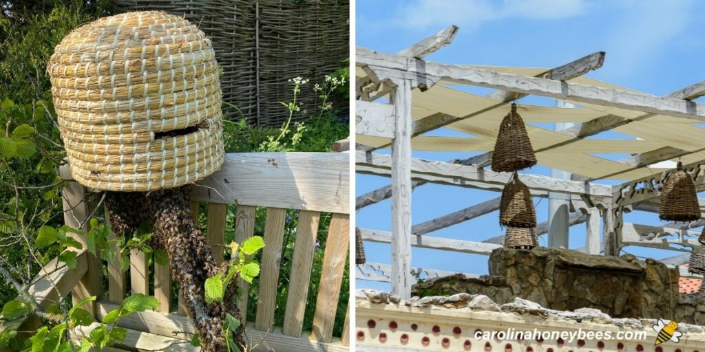 Bee Skeps: Traditional Beekeeping Charm- Carolina Honeybees
