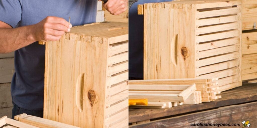 How to Build a Beehive of Your Own - Carolina Honeybees