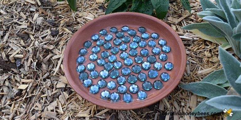 How to Make a Bee Water - Carolina Honeybees