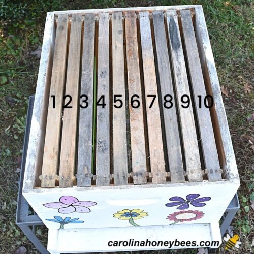 How to Combine 2 Beehives - Carolina Honeybees