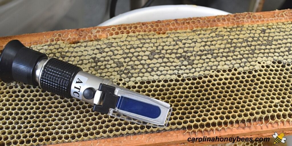 How to Harvest Honey from a Beehive: A Step-by-Step Guide- Carolina ...
