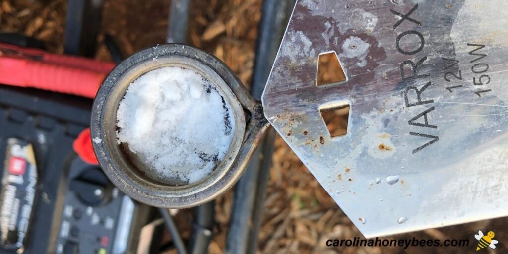 How to Use Oxalic Acid for Bees - Carolina Honeybees