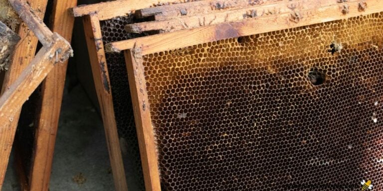 Effective Comb Rotation in Your Beehives- Carolina Honeybees