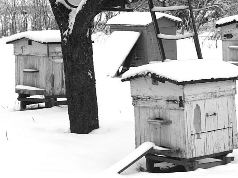 Beehive Ventilation: How to Vent Your Hive- Carolina Honeybees