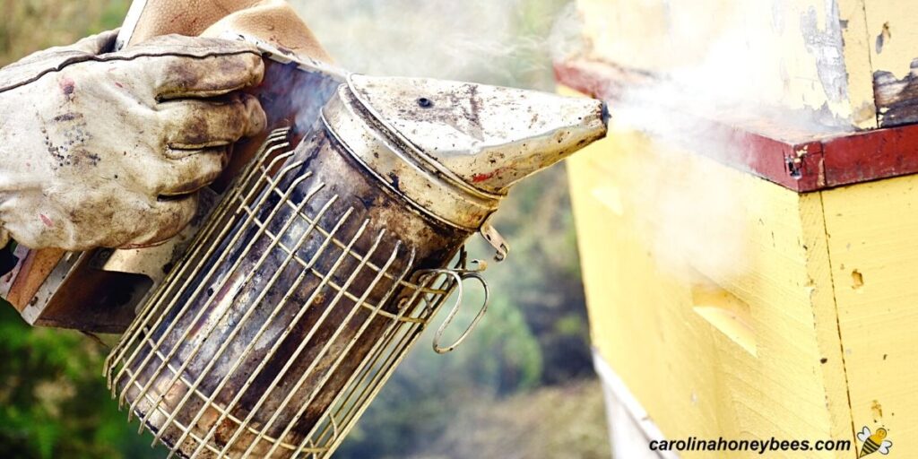 The Beekeeper's Smoker - An Essential Tool - Carolina Honeybees