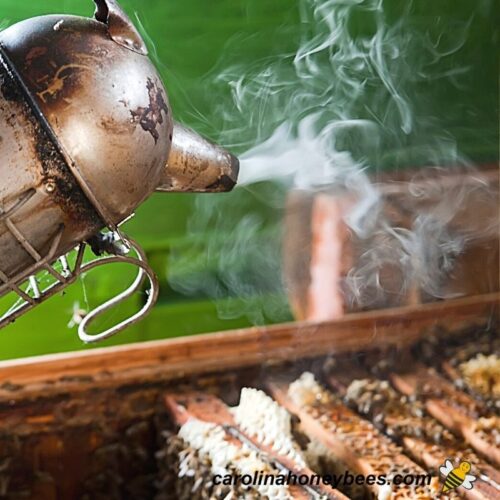 The Beekeeper's Smoker - An Essential Tool - Carolina Honeybees