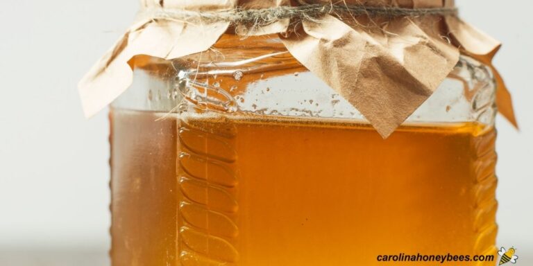 Can Honey Go Bad? How to Tell if it is Okay- Carolina Honeybees