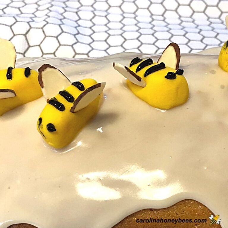 Easy Honey Bee Cake Recipe - Carolina Honeybees
