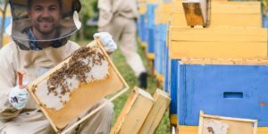 What is a Beekeeper Called & What Do They Do? - Carolina Honeybees