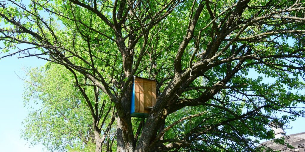 How to Set Up A Swarm Trap - Carolina Honeybees