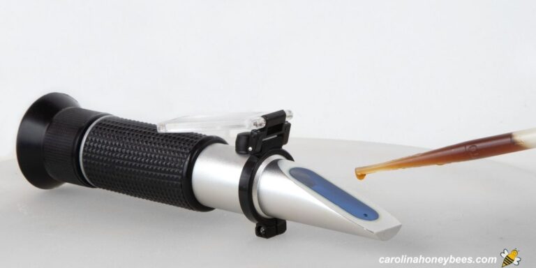 Honey Water Content - Is it Too Much? - Carolina Honeybees