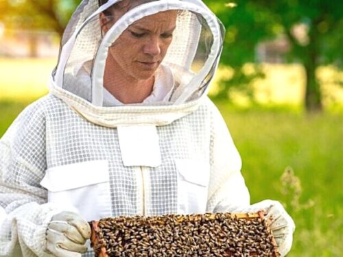 What is a Beekeeper Called? - Carolina Honeybees