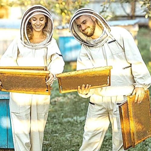 Awesome Benefits of Keeping Bees - Carolina Honeybees