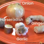 How to Make Homemade Fire Cider (with Honey)- Carolina Honeybees