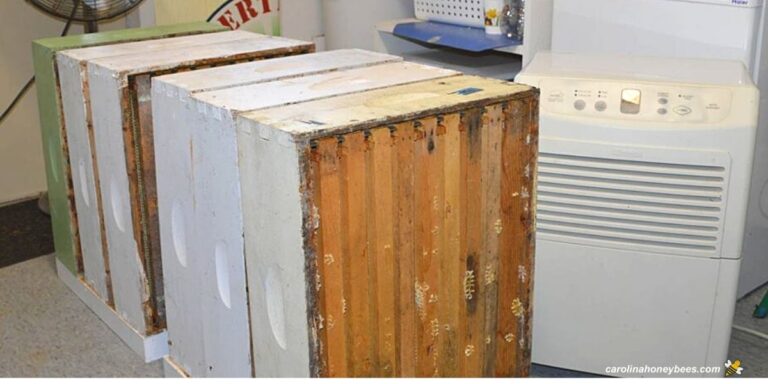 What is a Honey House? Do you Need one?- Carolina Honeybees