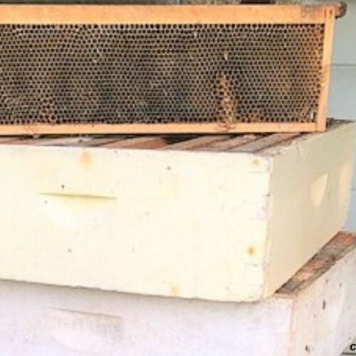 Beekeeping Supers: Estimating Your Needs- Carolina Honeybees