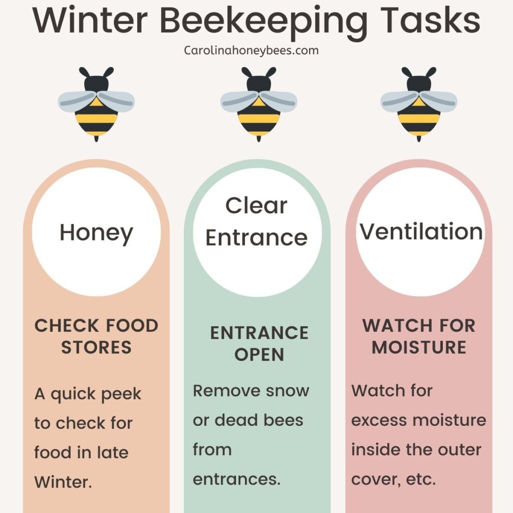 Winter Beekeeping- Important Tasks & Chores - Carolina Honeybees