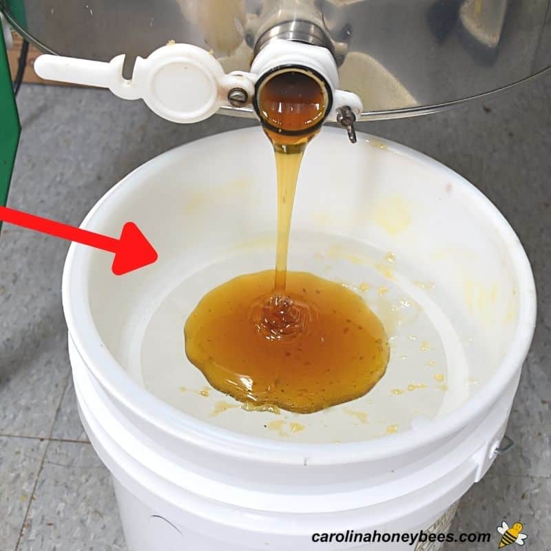 How to Extract Honey: Step by Step - Carolina Honeybees