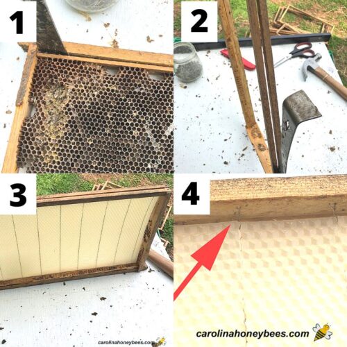 How to Install Wax Foundation in Frames- Carolina Honeybees