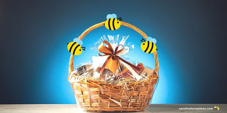 Honey Bee Gift Baskets: Ideas for Any Occasion- Carolina Honeybees