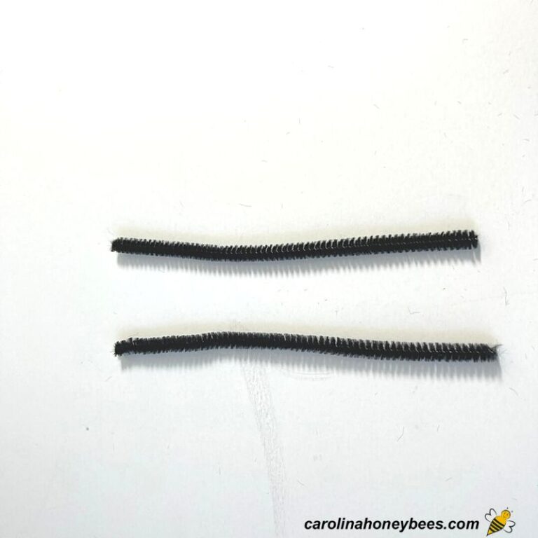 How to Make a Bee with Pipe Cleaners - Carolina Honeybees