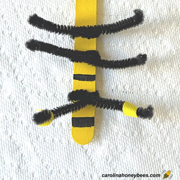 How to Make a Bee with Pipe Cleaners - Carolina Honeybees