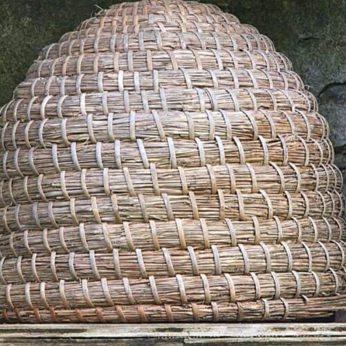 Types of Beehives (The Best for Your Bees) - Carolina Honeybees