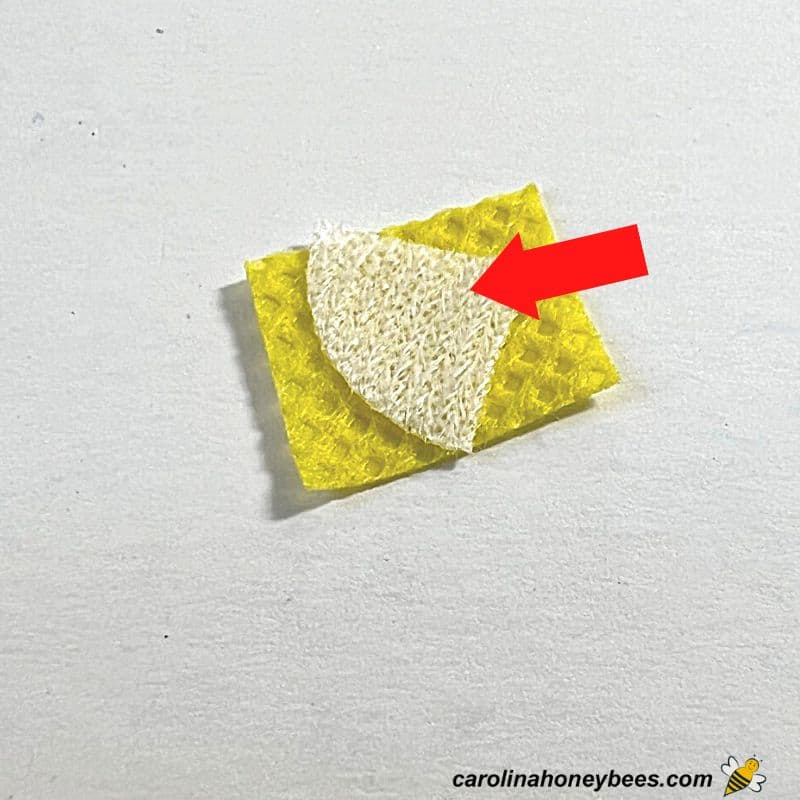 How to Make a Bee with Pipe Cleaners - Carolina Honeybees