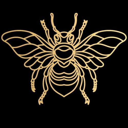 Telling the Bees: A Beekeeping Tradition- Carolina Honeybees