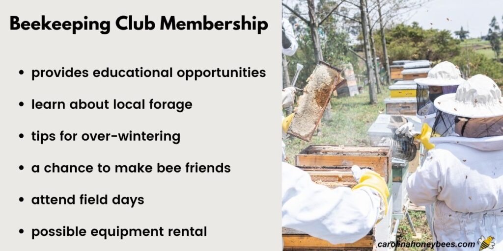 Local Beekeeping Associations Help Beekeepers- Carolina Honeybees