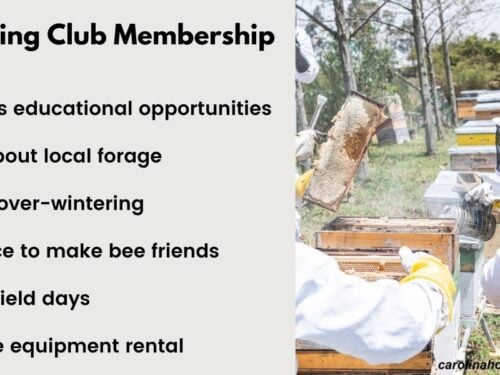 The Power of Beekeeping Associations- Carolina Honeybees