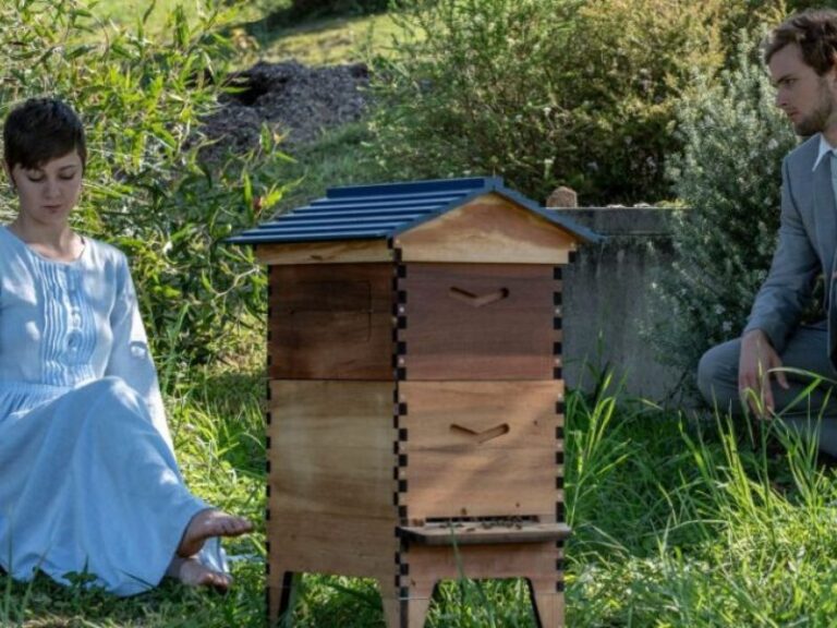 Telling the Bees: A Beekeeping Tradition- Carolina Honeybees