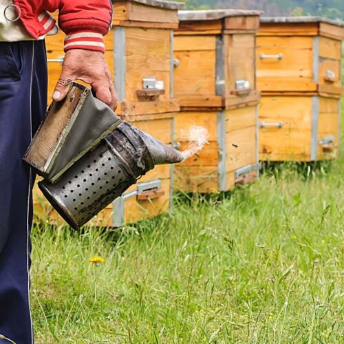 Essential Beekeeping Equipment and Tools- Carolina Honeybees