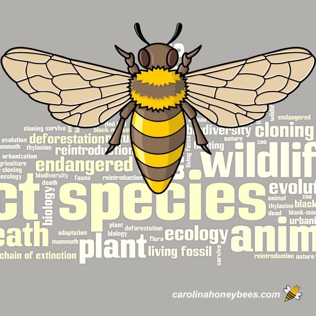 The Fascinating World of Bees - Carolina Honeybees