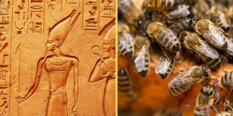 God of Bees (Bees in Mythology) - Carolina Honeybees