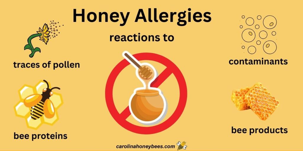 Can You be Allergic to Honey?- Carolina Honeybees