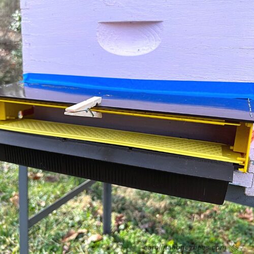 Collecting Bee Pollen: How to do it - Carolina Honeybees