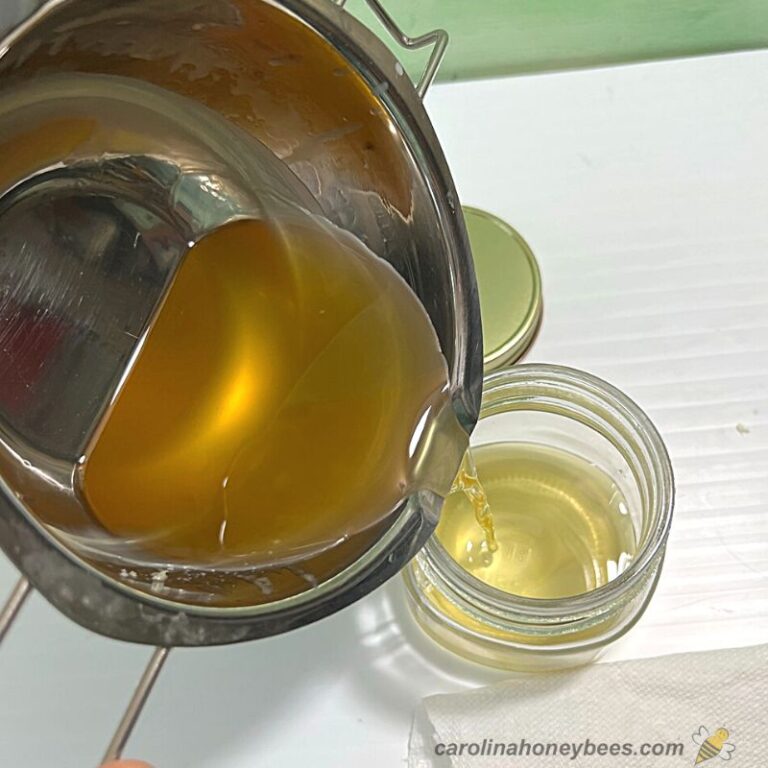 How to Make Petroleum Jelly (Natural Vaseline) - Carolina Honeybees