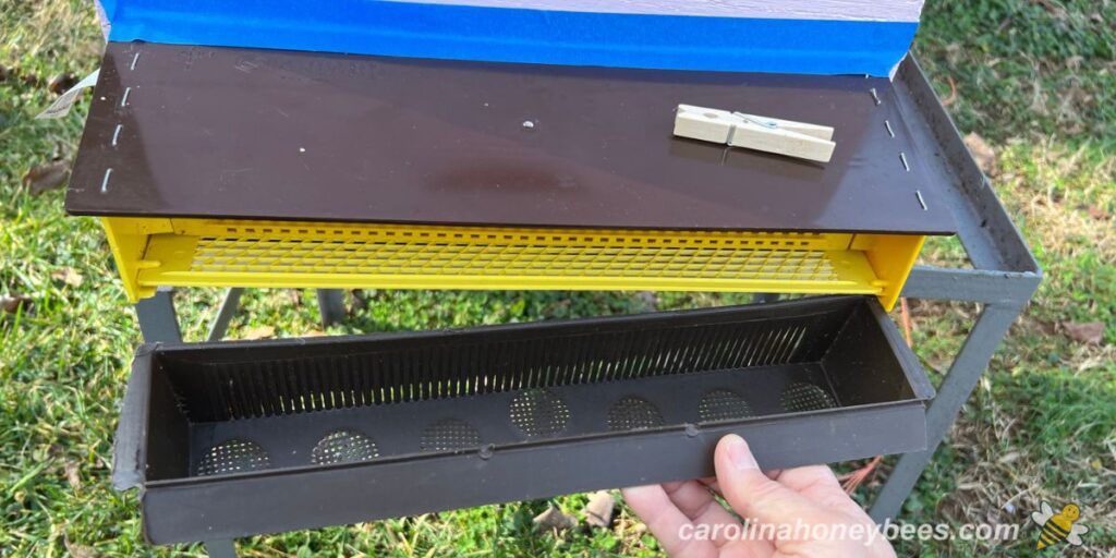 Collecting Bee Pollen: How to do it - Carolina Honeybees