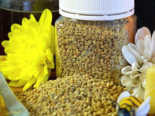 Collecting Bee Pollen: How to do it - Carolina Honeybees