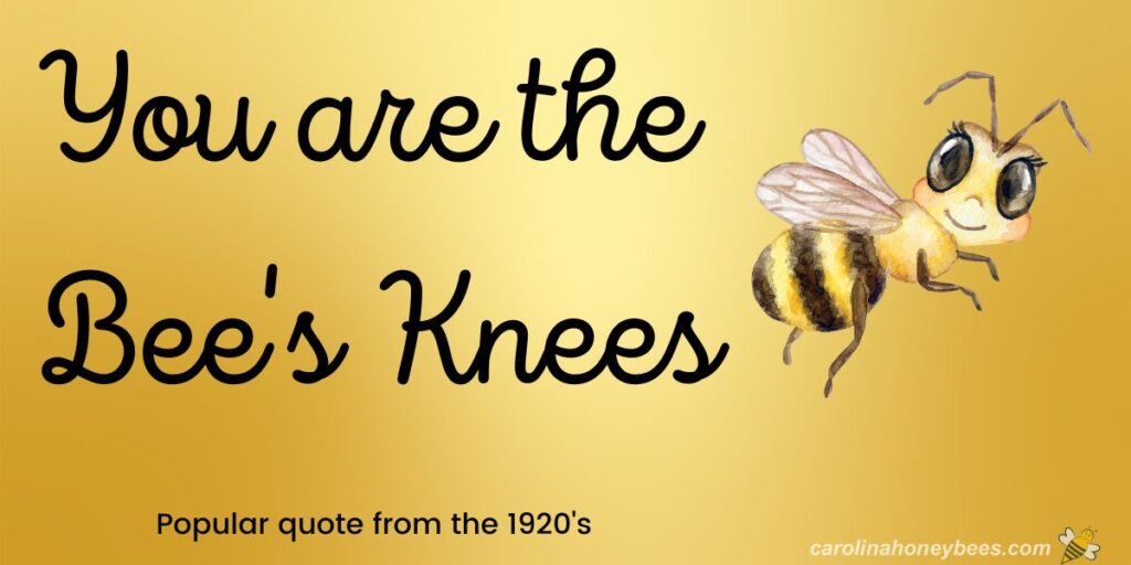 Bee Quotes and Popular Sayings - Carolina Honeybees