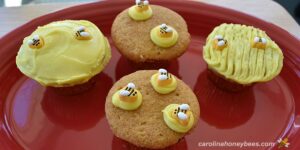 Easy Honey Snacks: You Need to Try - Carolina Honeybees