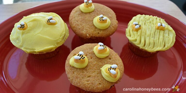 Easy Bee-Themed Cupcakes with Honey- Carolina Honeybees