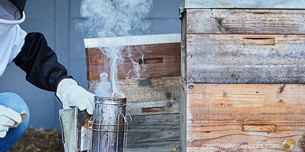What Does Smoke Do to Bees?- Carolina Honeybees