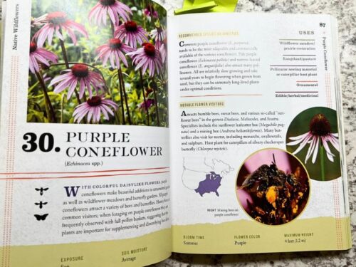 Beekeeping Books for Beginners and Beyond - Carolina Honeybees