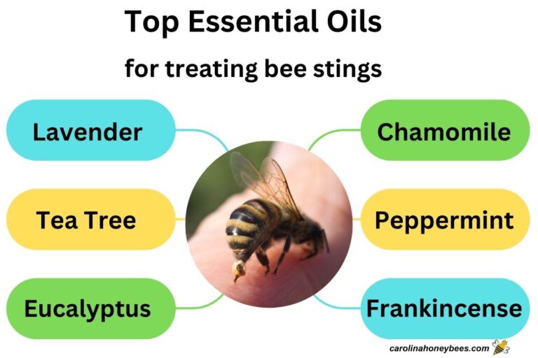Using Essential Oils for Bee Stings - Carolina Honeybees