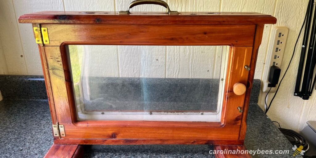 Honey Bee Observation Hives - Carolina Honeybees