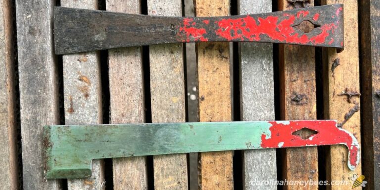 Choosing the Best Hive Tool: A Beekeeper's Guide- Carolina Honeybees